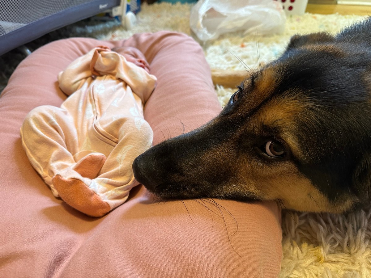 Sleepless Night and Poopy Diapers | Eric Taveren